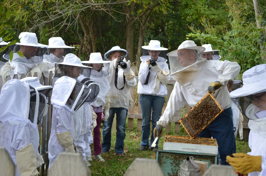 Hillside Honey Apiary | Leavenworth, Kansas